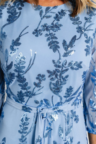 Destiny Sequin Maxi Dress | Blue – Baltic Born